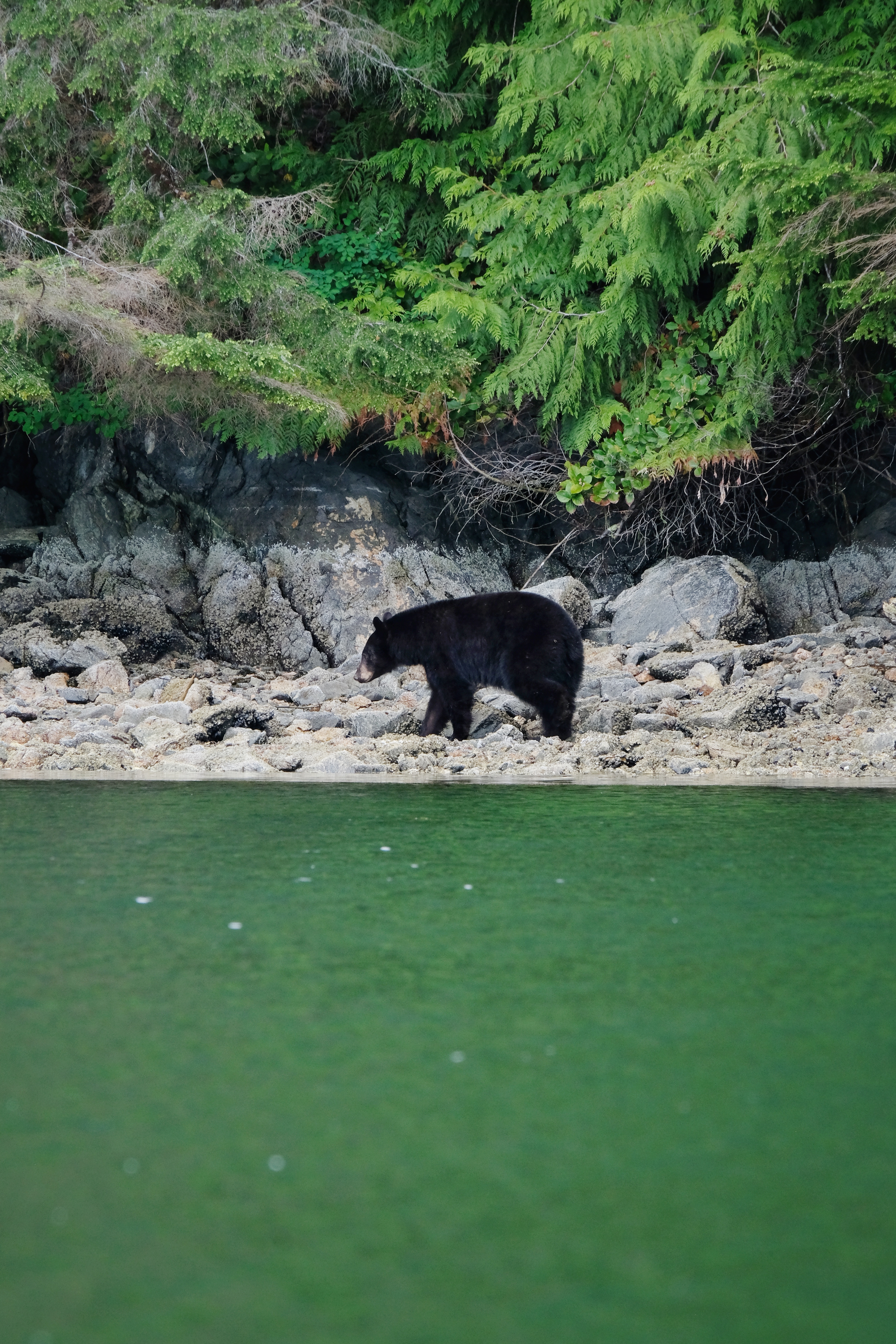 5 beginner-friendly overnight kayaking destinations in Southwest BC ...