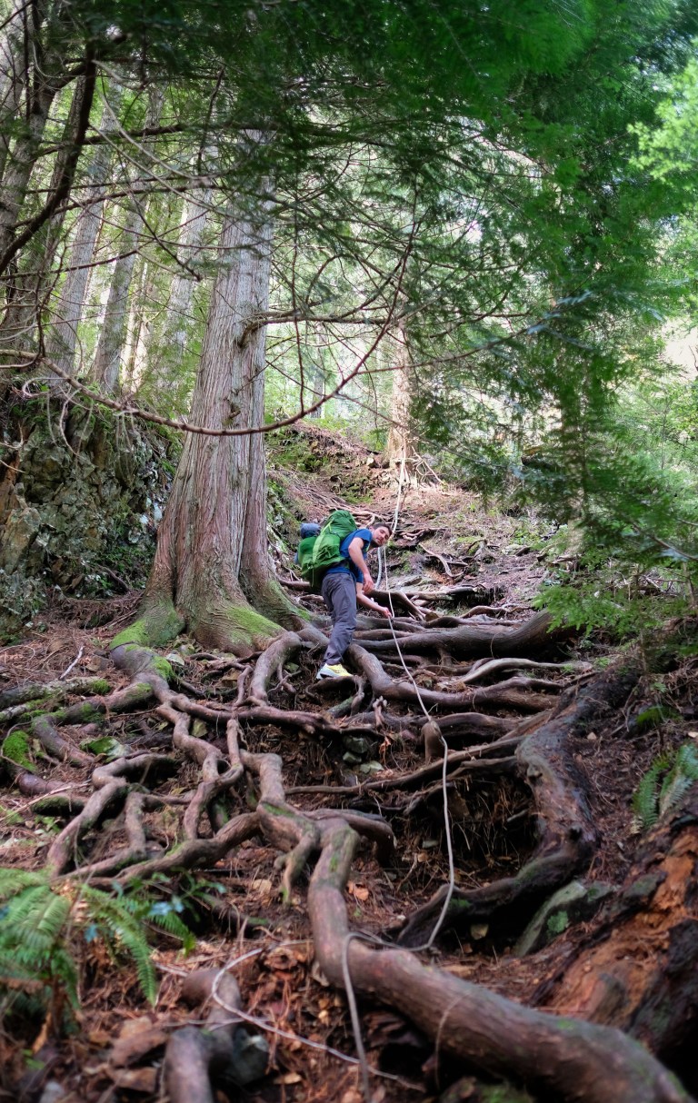 A Kayaking and Hiking Guide to Anvil Island, BC – The Trail of B.