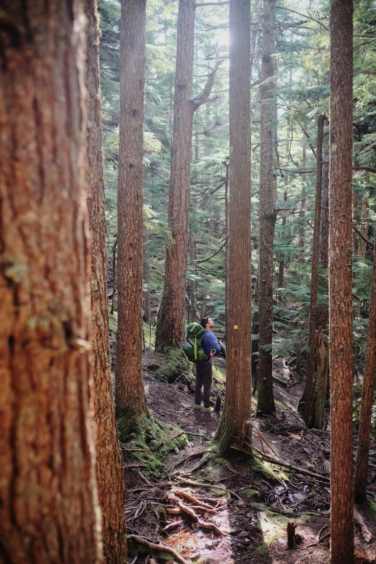 A Kayaking and Hiking Guide to Anvil Island, BC – The Trail of B.