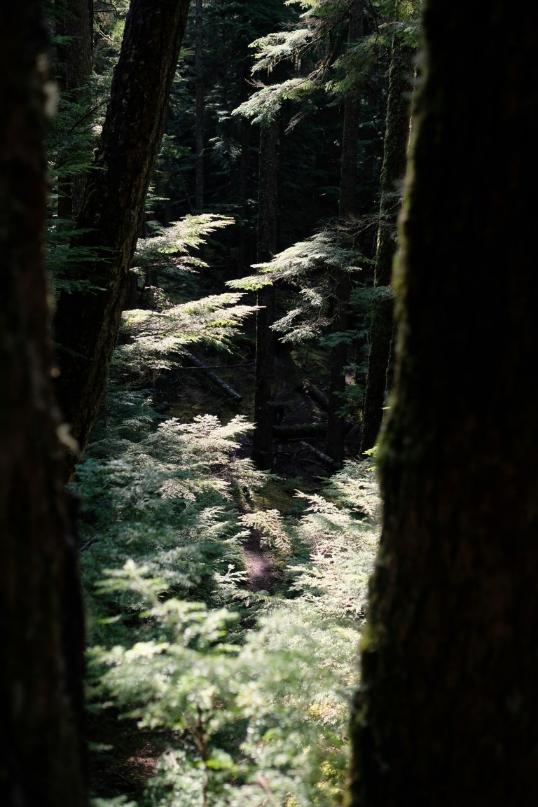 A Kayaking and Hiking Guide to Anvil Island, BC – The Trail of B.